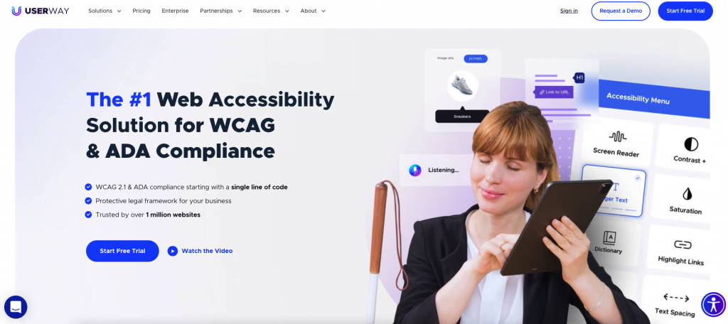 11 Best Web Accessibility Plugins [for WordPress]