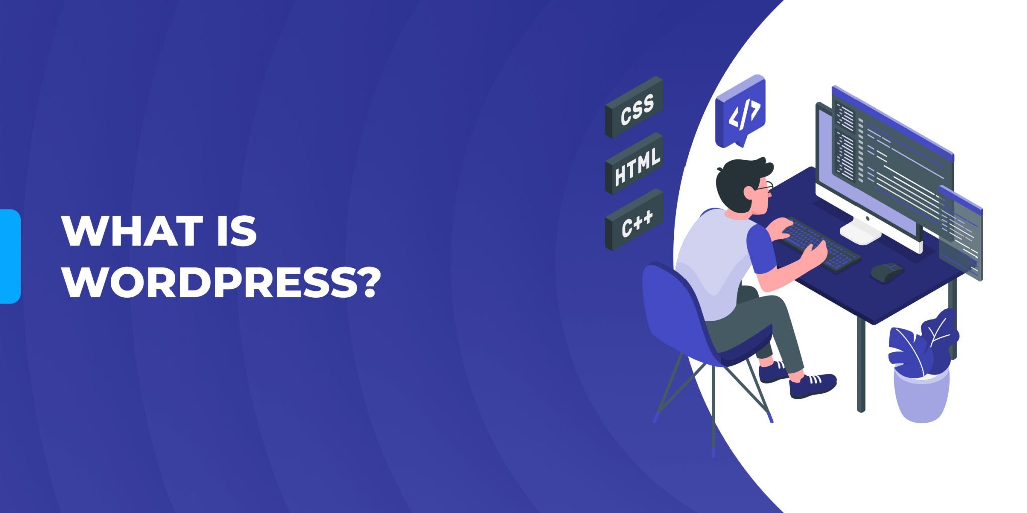7 Best WordPress Design and Development Services [Updated for 2024]